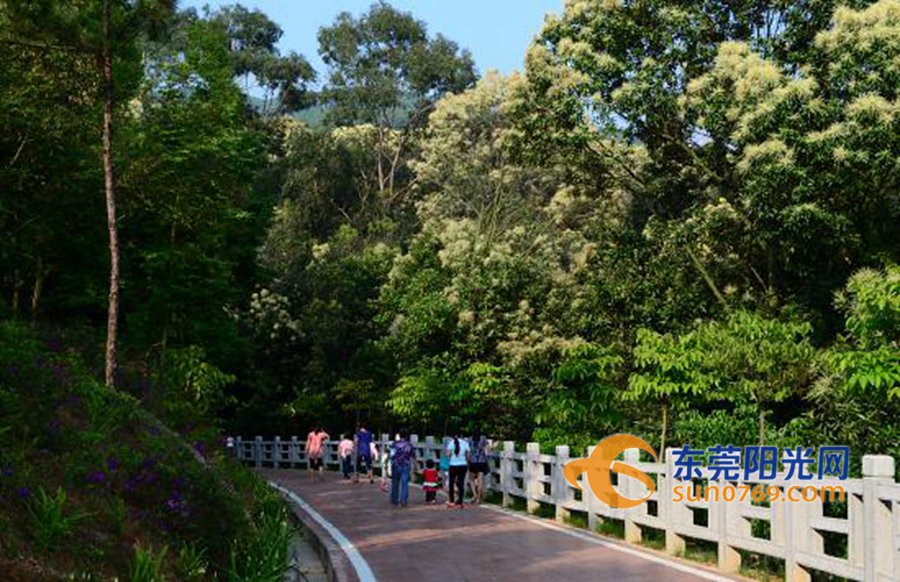 Places to relax in Dongguan this upcoming May Day holiday_Dongguan Today