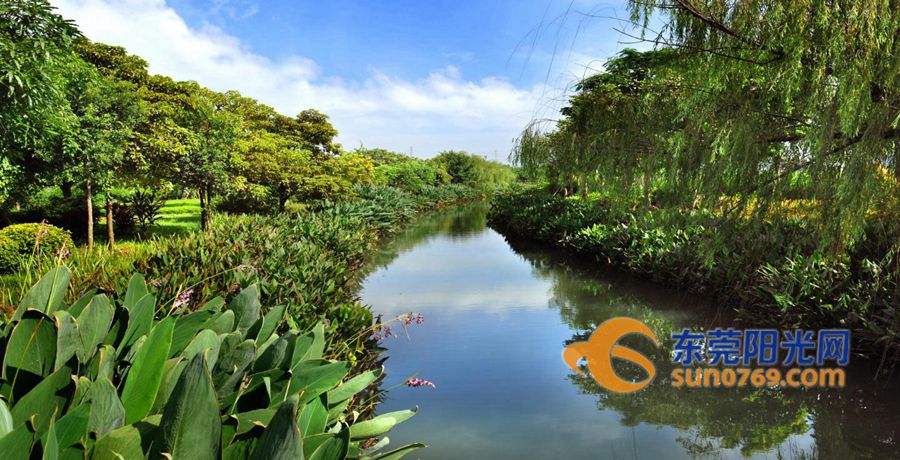 Places to relax in Dongguan this upcoming May Day holiday_Dongguan Today