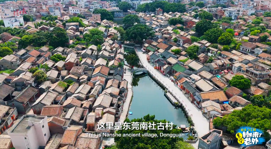 Foreign influencer visits Dongguan's Nanshe Ancient Village_Dongguan Today