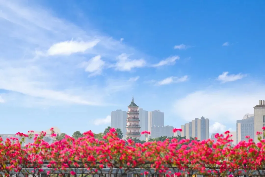 Autumn in Dongguan: A symphony of colors and life_Dongguan Today