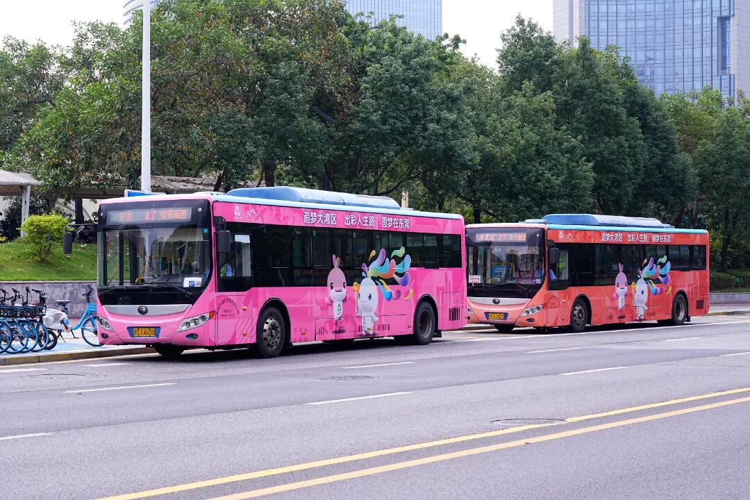 Meet Dongguan's cutest stars_Dongguan Today